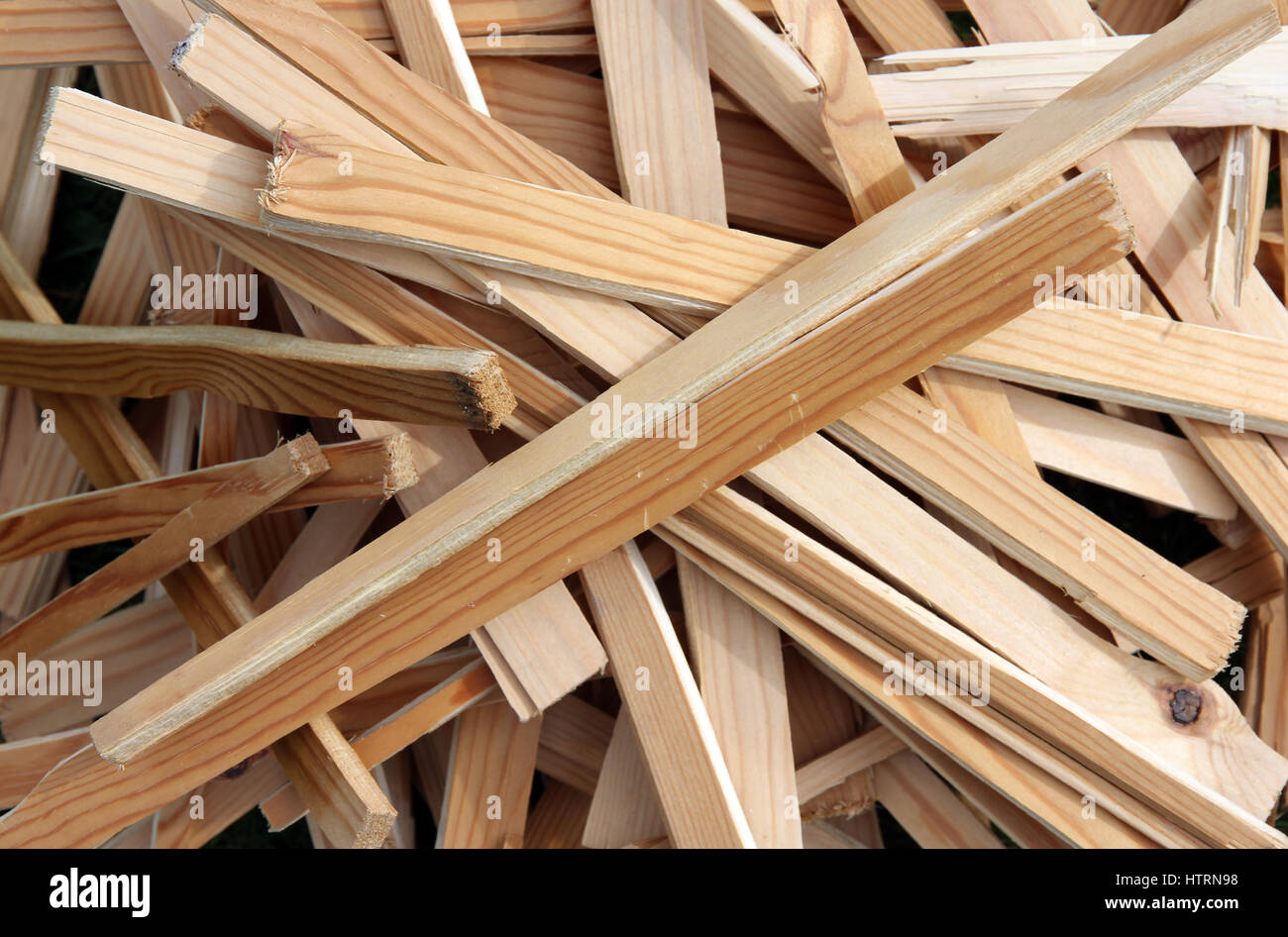 pine wood kindling Stock Photo - Alamy