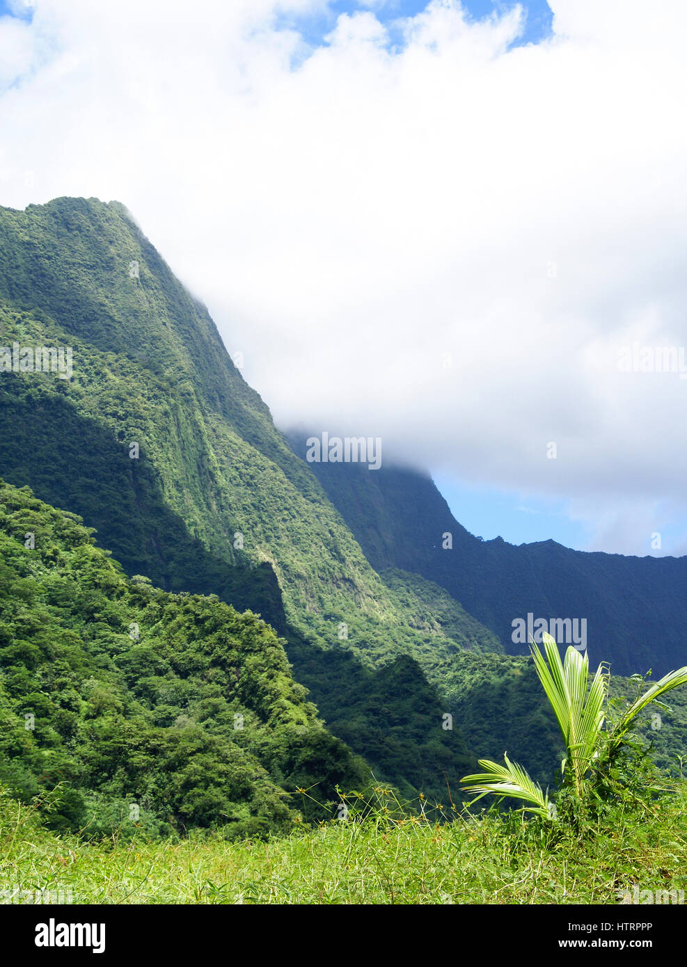 The lush green mountain peaks of Tahiti with thunderhead clouds coming ...