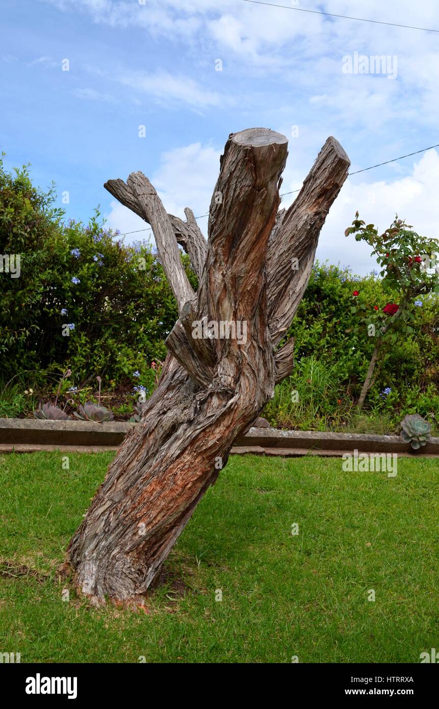 Tree stump sculpture hi-res stock photography and images - Alamy