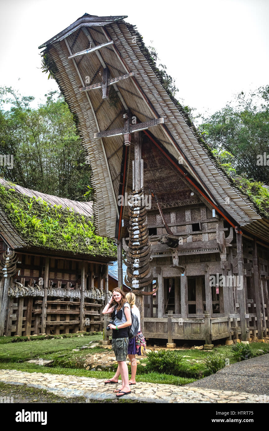 Traditional tongkonan roof hi-res stock photography and images - Alamy