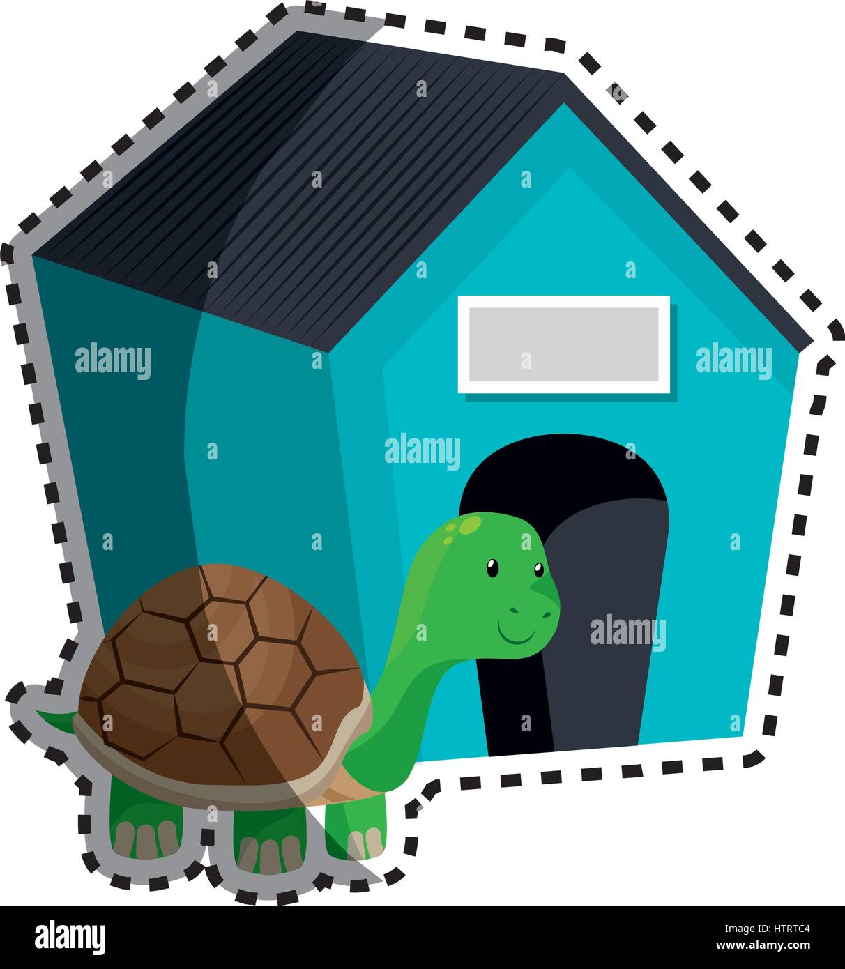 cute turtle pet isolated icon Stock Vector Image & Art - Alamy