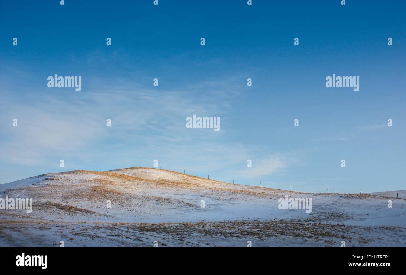 yellow field with snow on it Stock Photo - Alamy