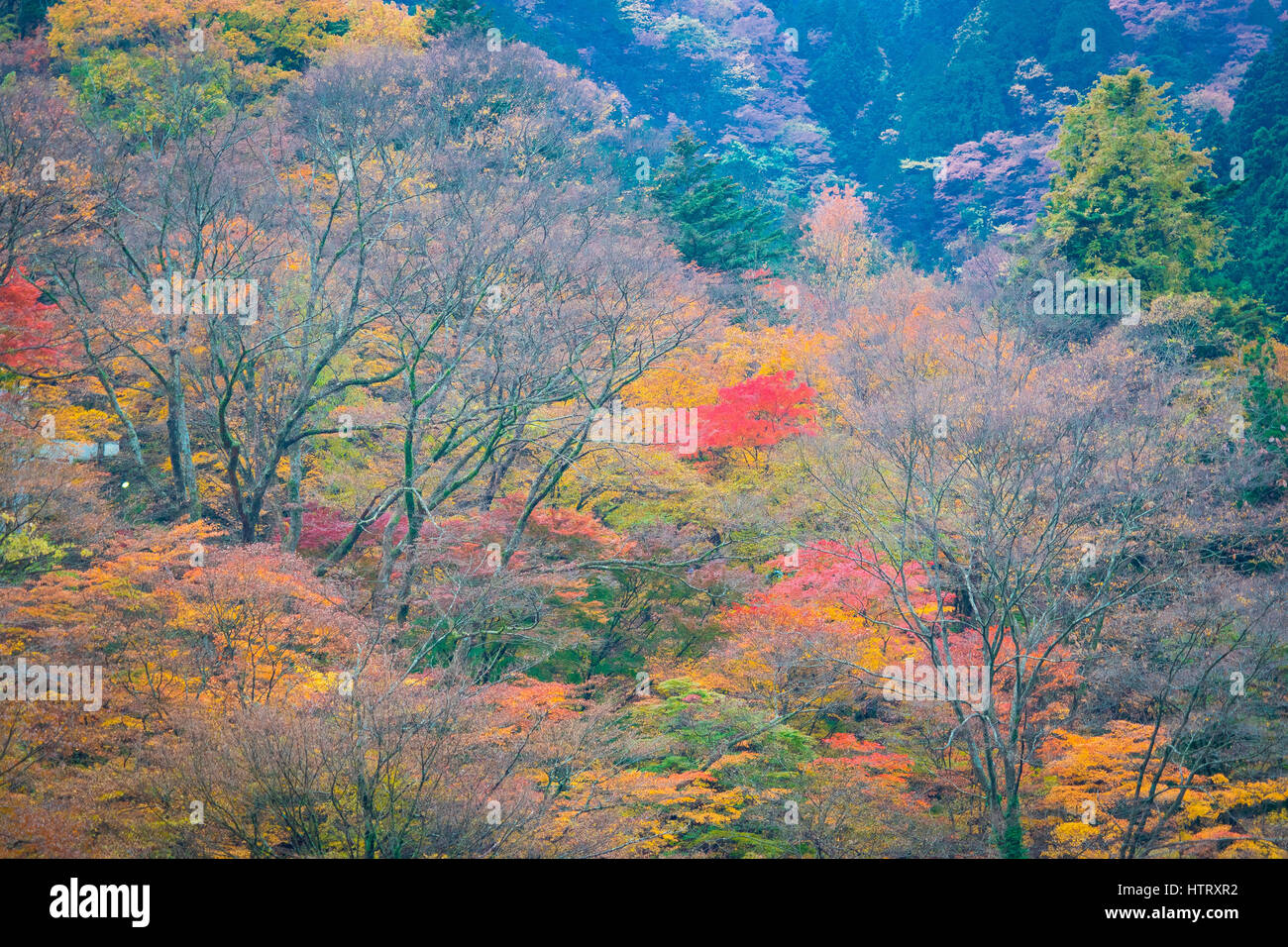 nikko a small town to the north of Tokyo, in Tochigi Prefecture Stock ...