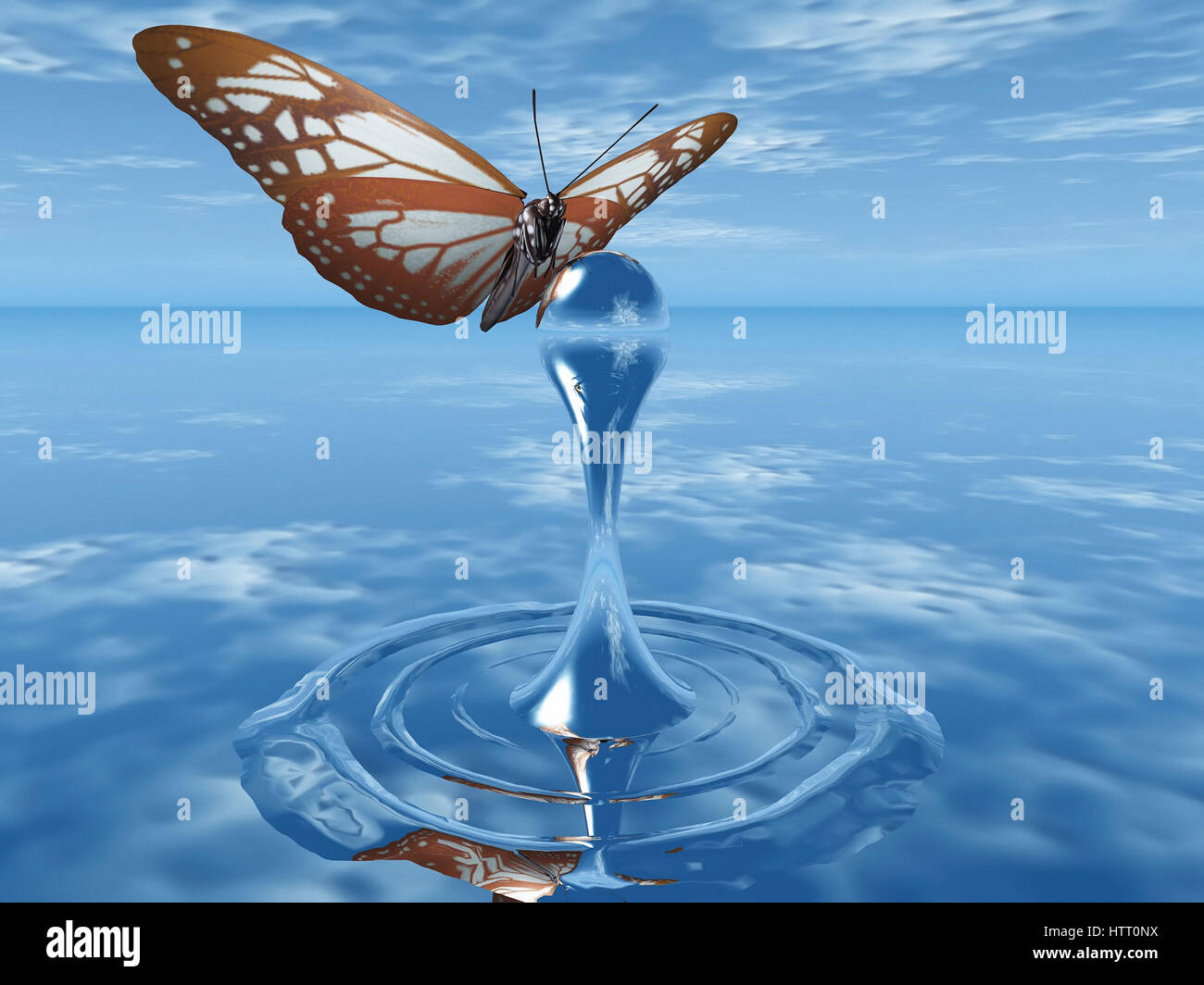 Butterfly metamorphosis circle hi-res stock photography and images - Alamy