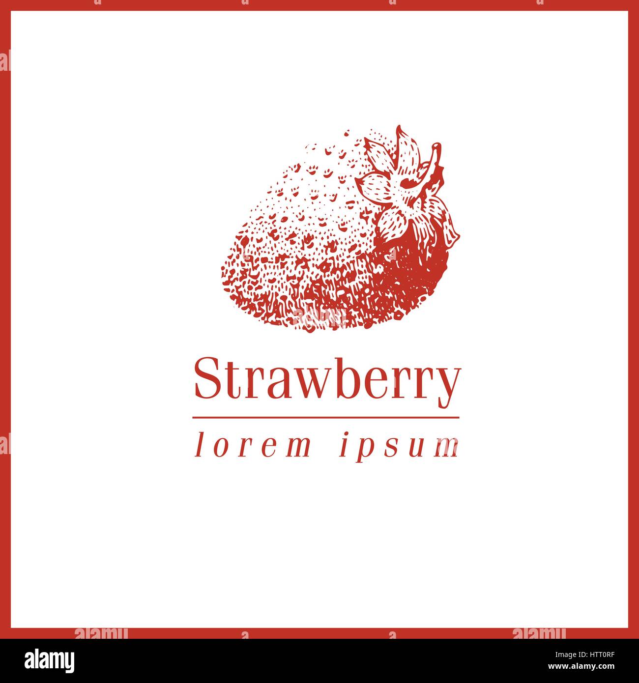 Hand drawn strawberry. Logo template. Vector illustration of berries ...