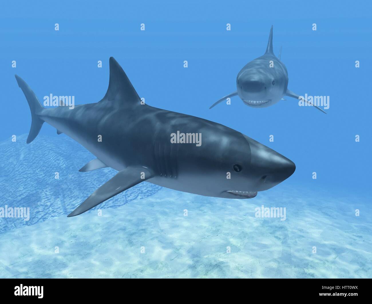 sharks in the blue water Stock Photo - Alamy
