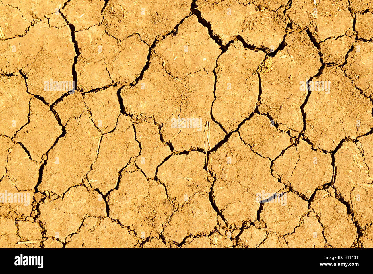 Dry cracked earth background, clay desert texture Stock Photo - Alamy