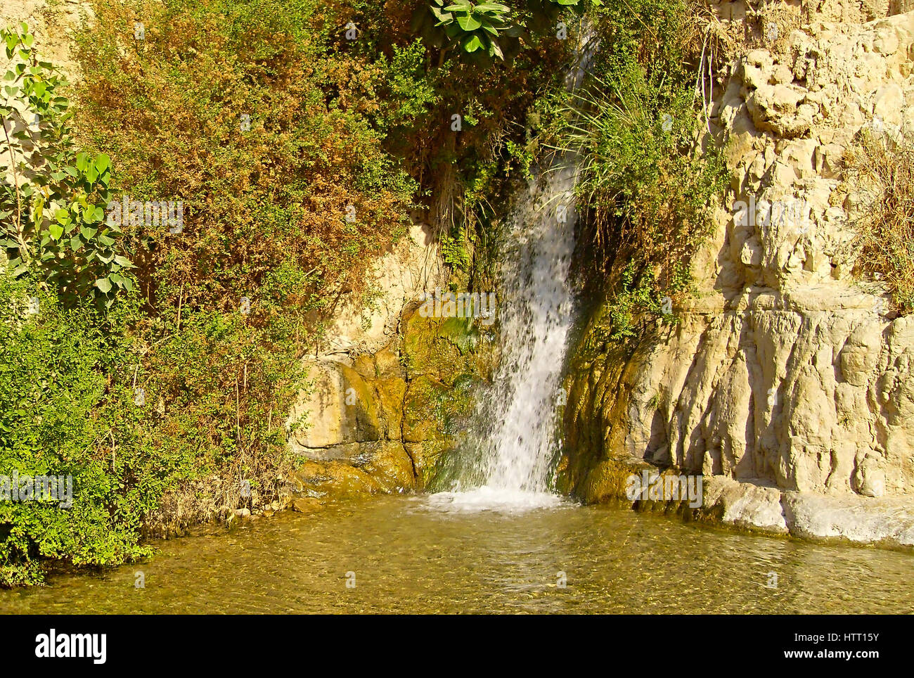 David's Waterfall. En Gedi Nature Reserve, Israel Stock Photo - Alamy David's Waterfall. En Gedi Nature Reserve, Israel Stock Photo - Alamy