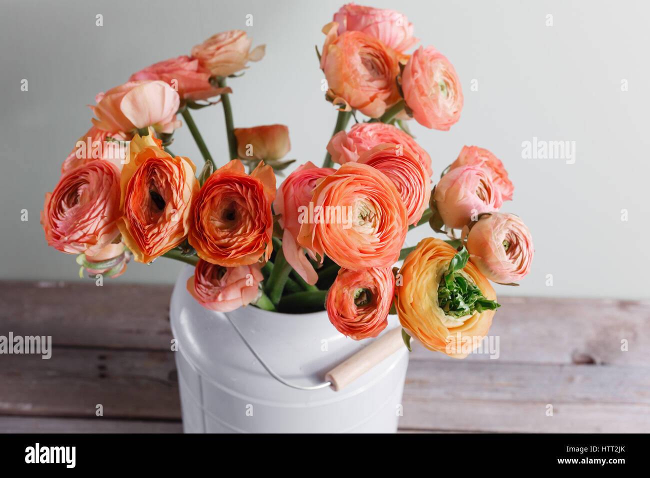 Orange and yellow persian buttercup flowers. Curly peny ranunculus in ...