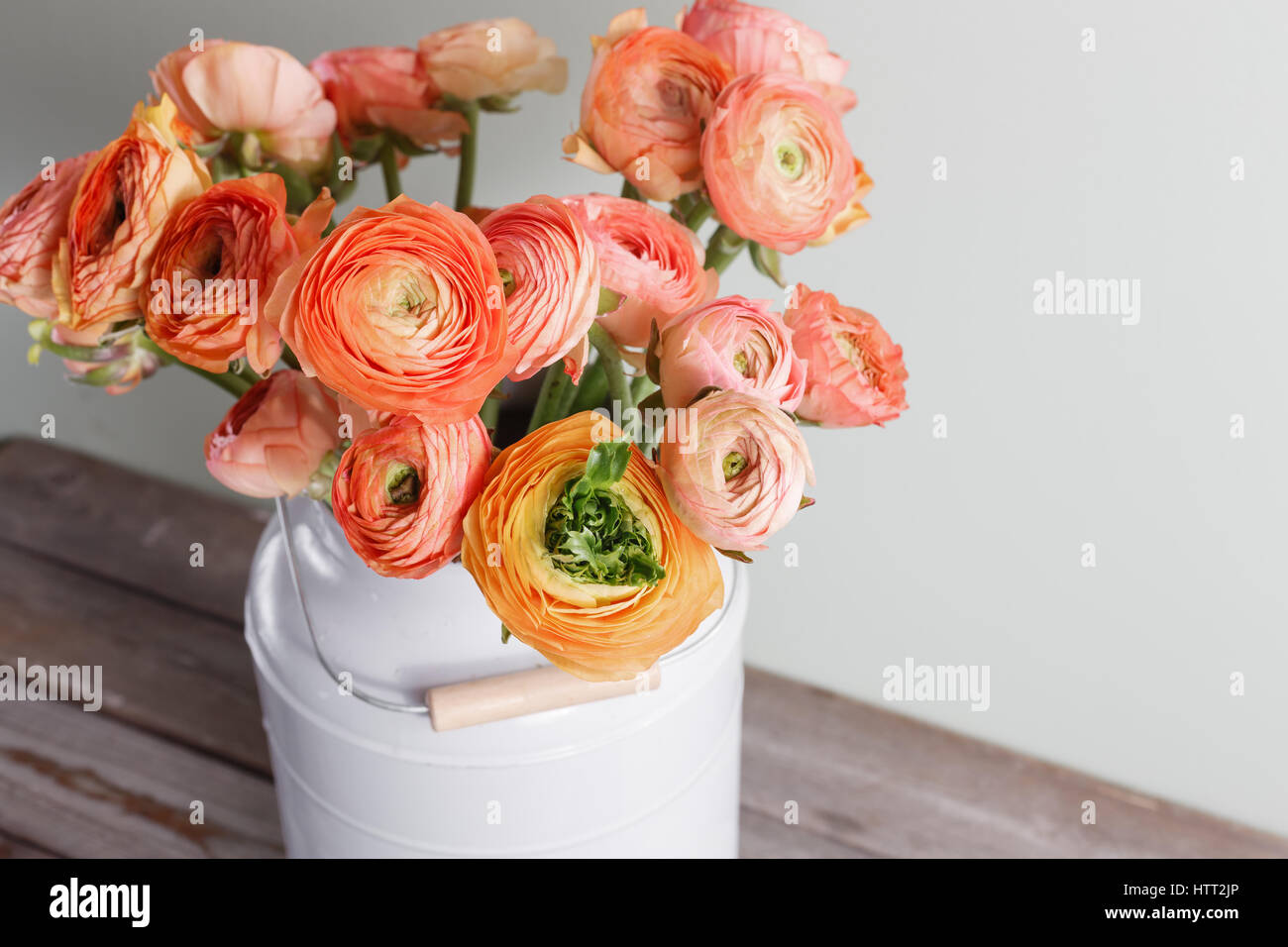 Orange and yellow persian buttercup flowers. Curly peny ranunculus in ...
