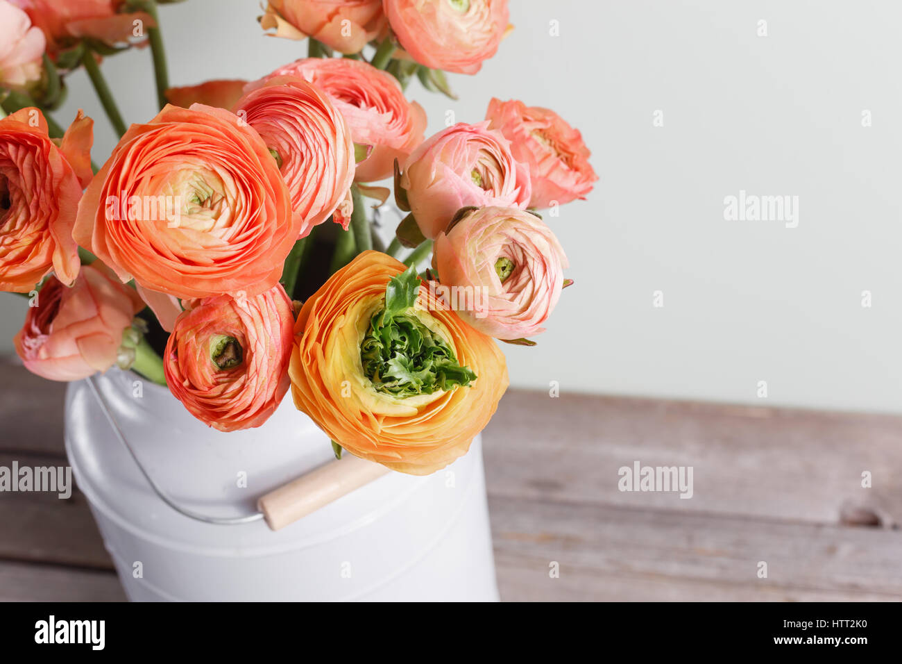 Orange and yellow persian buttercup flowers. Curly peny ranunculus in ...