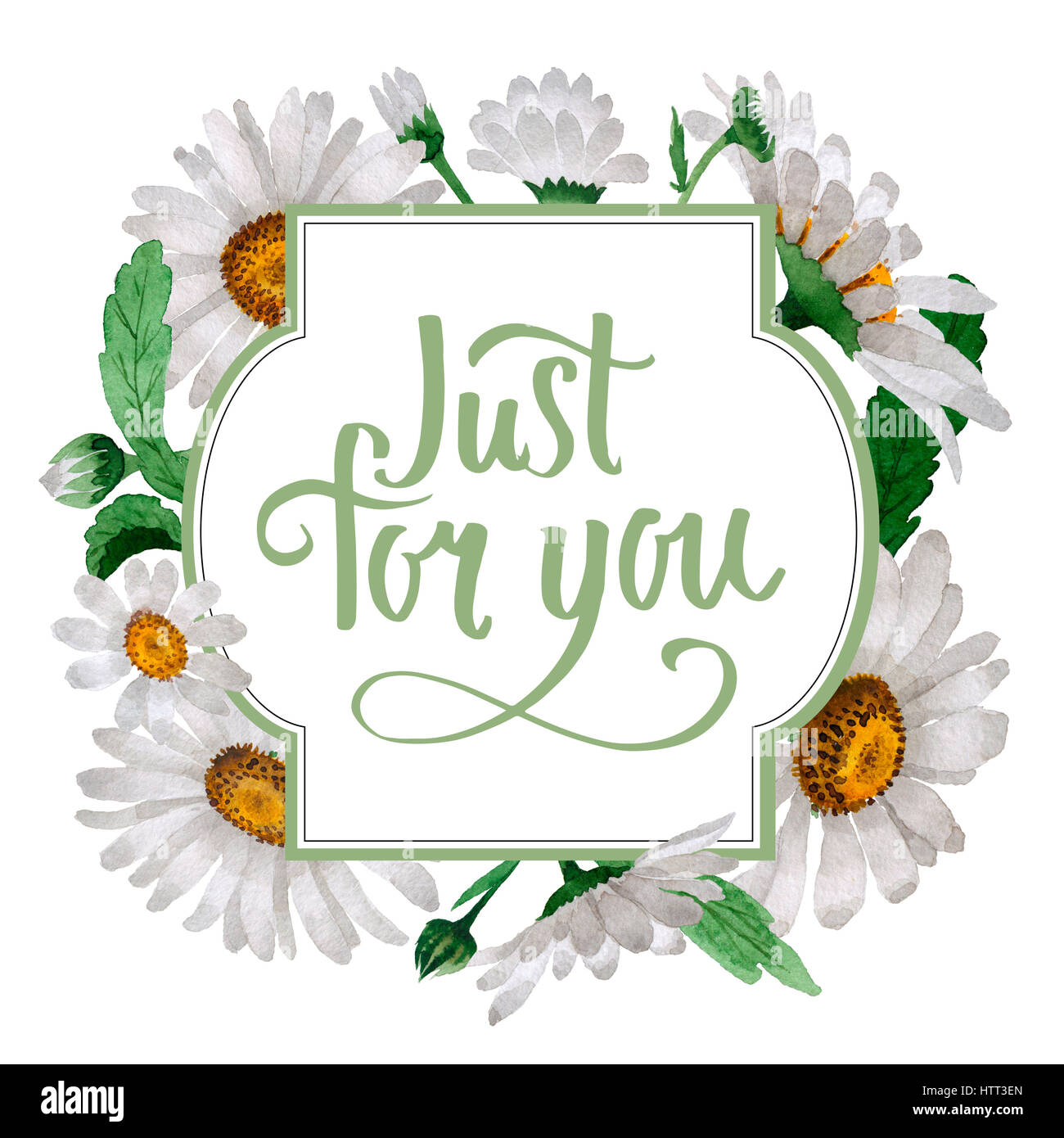 Wildflower chamomile flower frame in a watercolor style isolated Stock ...