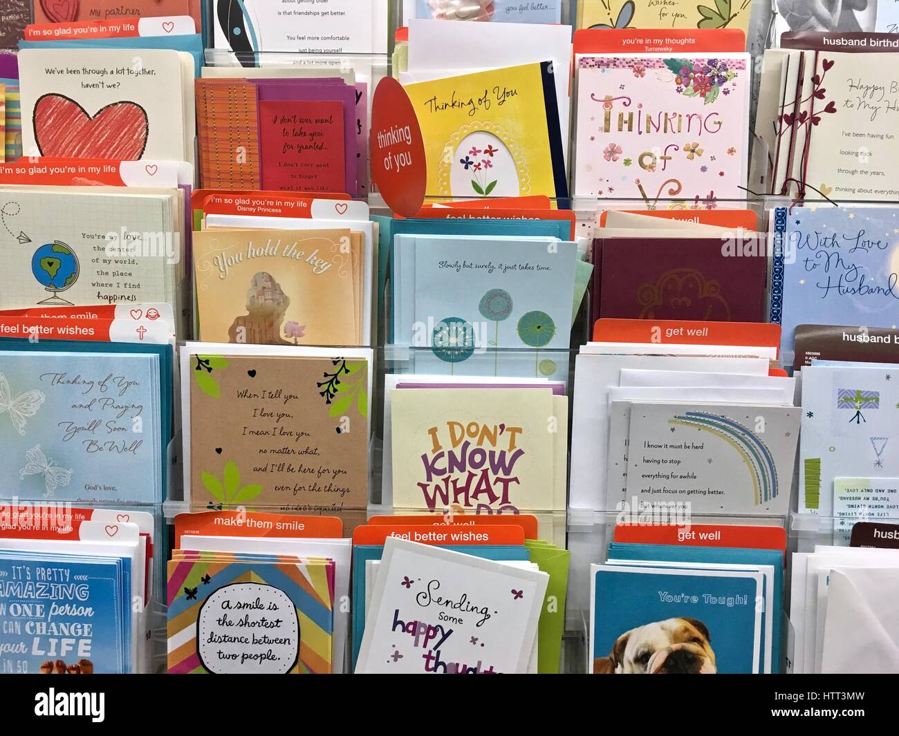 Cards displayed in the card isle Stock Photo - Alamy