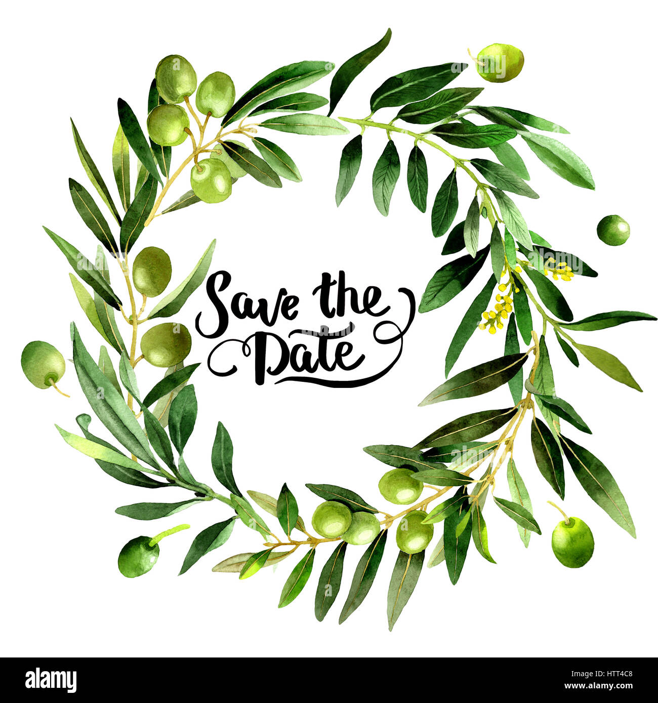 Olive tree wreath in a watercolor style isolated Stock Photo - Alamy