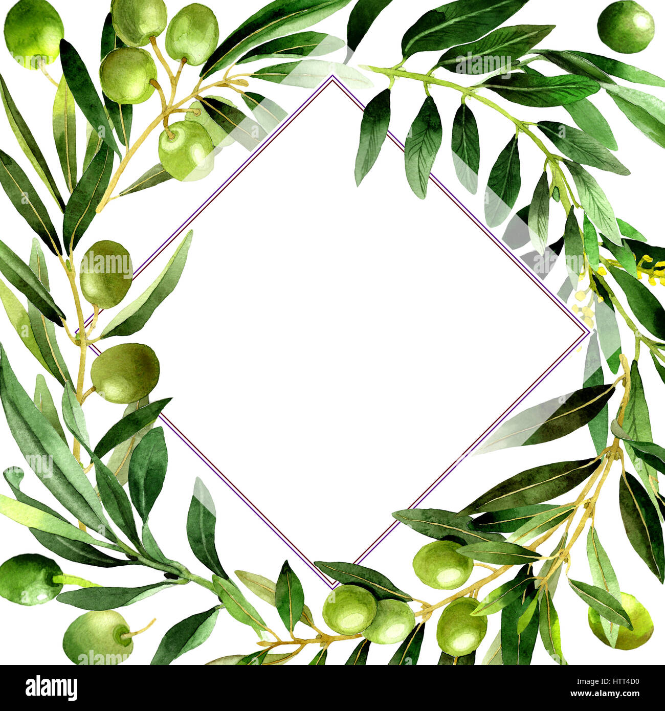 Olive tree frame in watercolor hi-res stock photography and images - Alamy