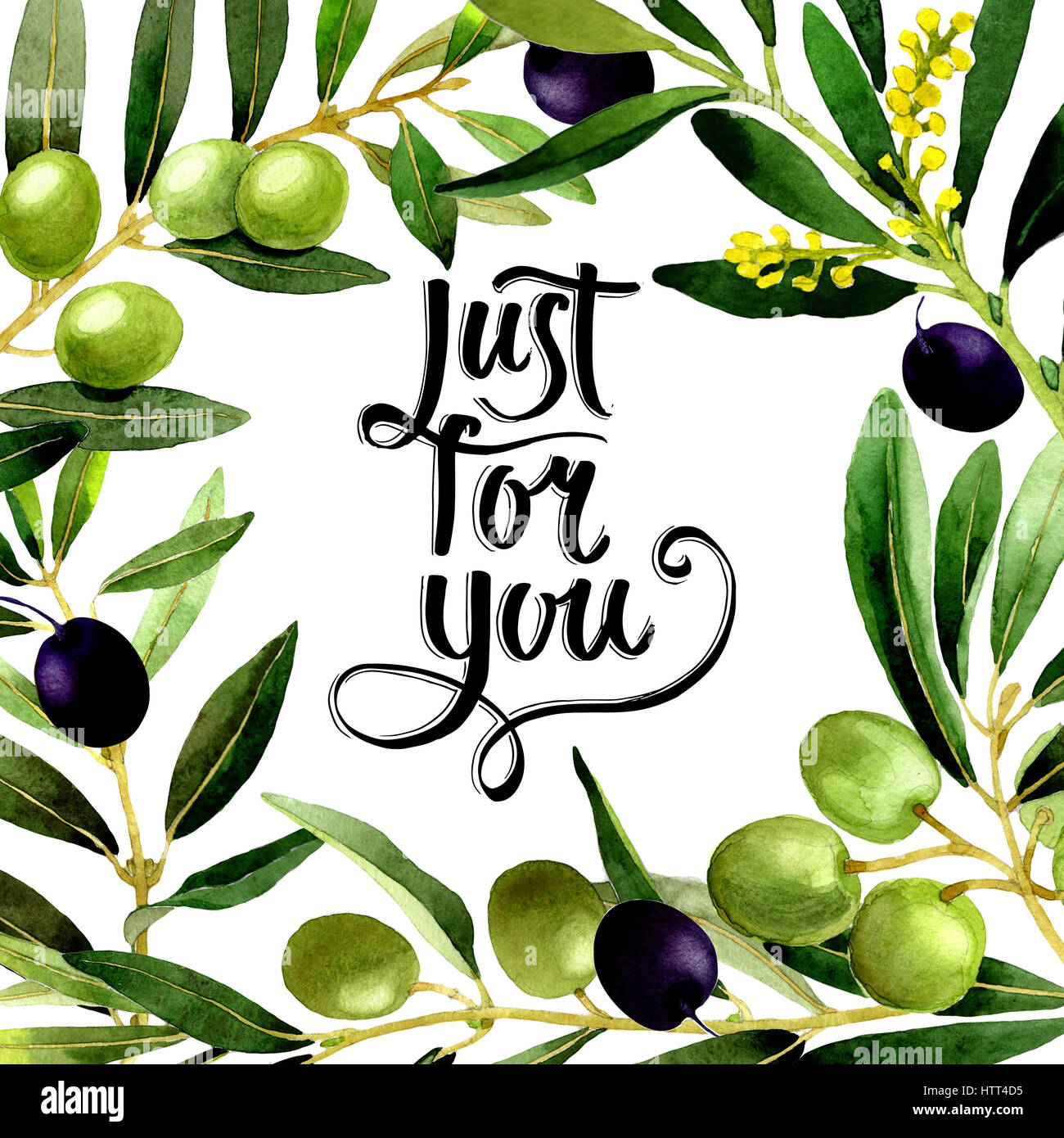 Olive tree frame in a watercolor style isolated Stock Photo - Alamy