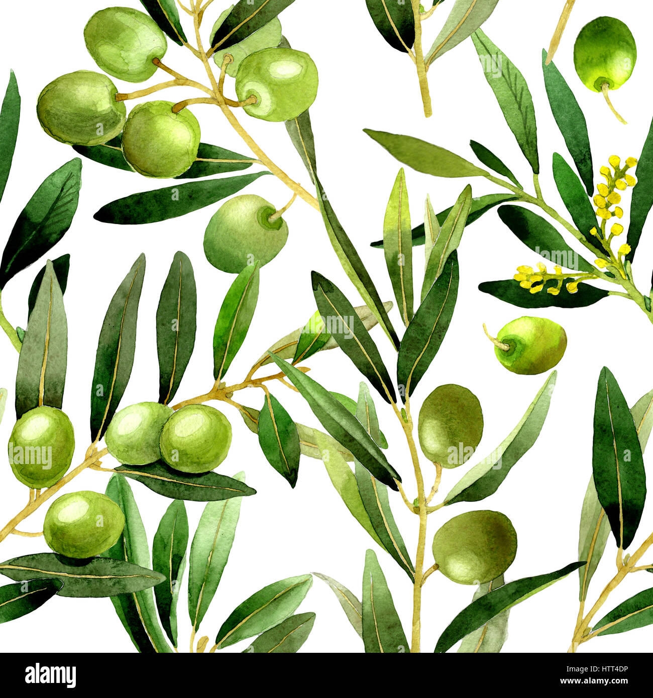 Olive tree pattern in a watercolor style isolated Stock Photo - Alamy