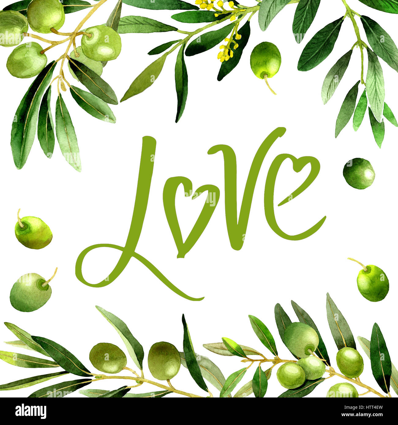 Olive tree frame in a watercolor style isolated Stock Photo - Alamy
