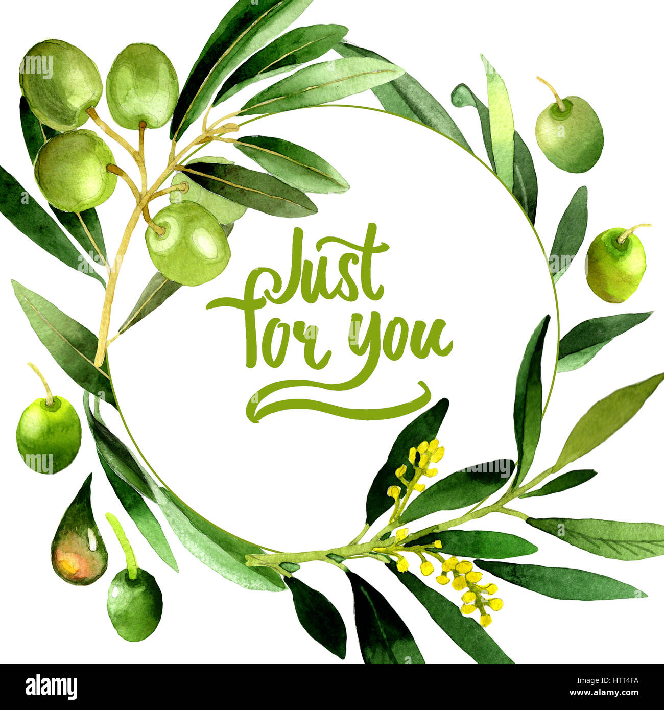 Olive tree wreath in a watercolor style isolated Stock Photo - Alamy