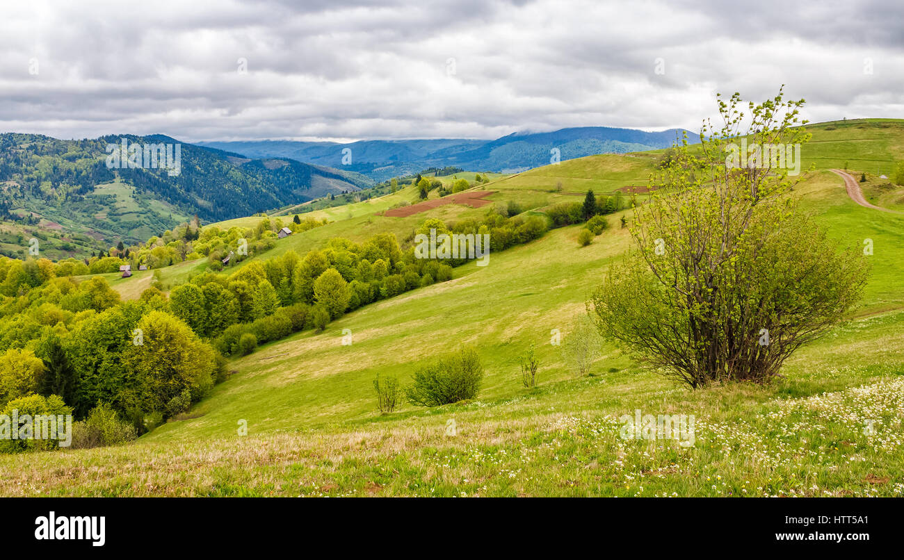Hay meadow peak district hi-res stock photography and images - Alamy