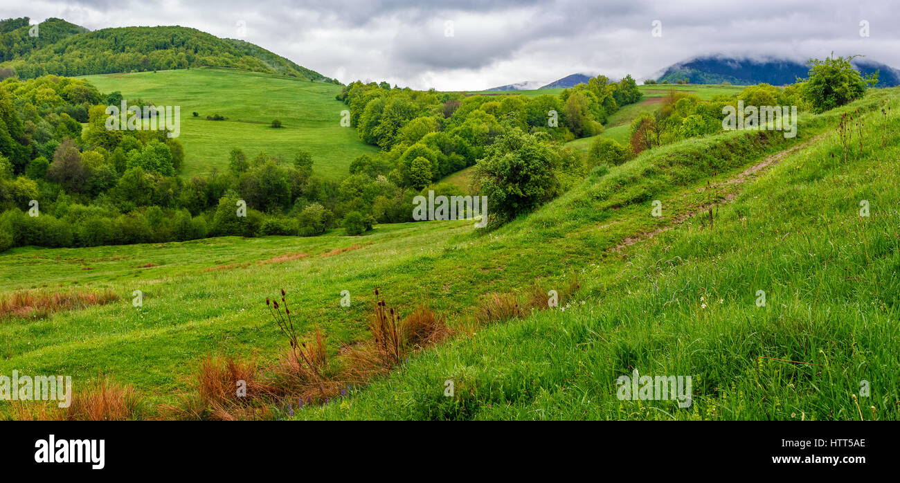 rural area in the beautiful valley. wonderful countryside. vivid ...