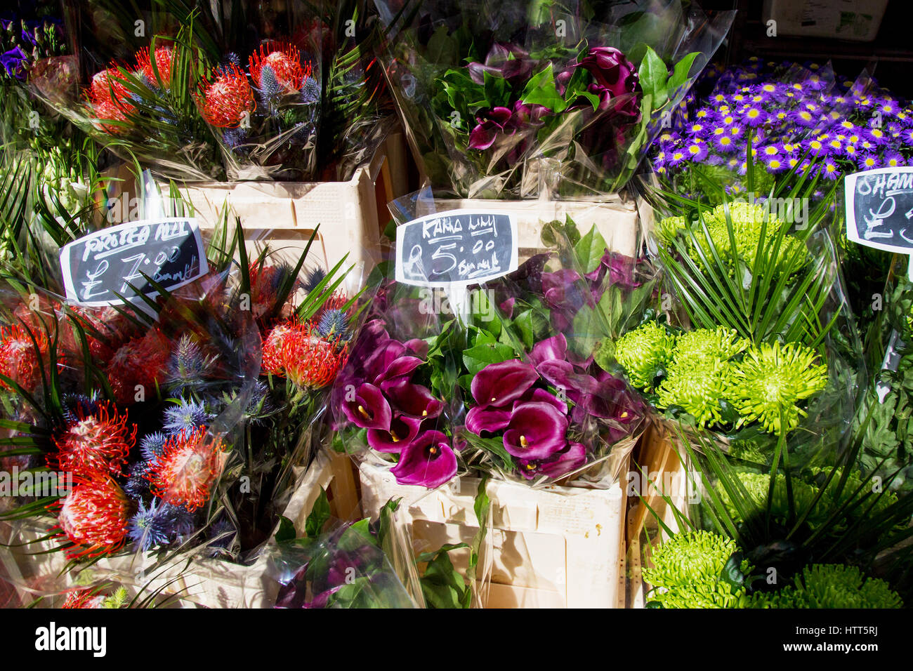 Colorful variety of flowers sold in the market in London Stock Photo ...