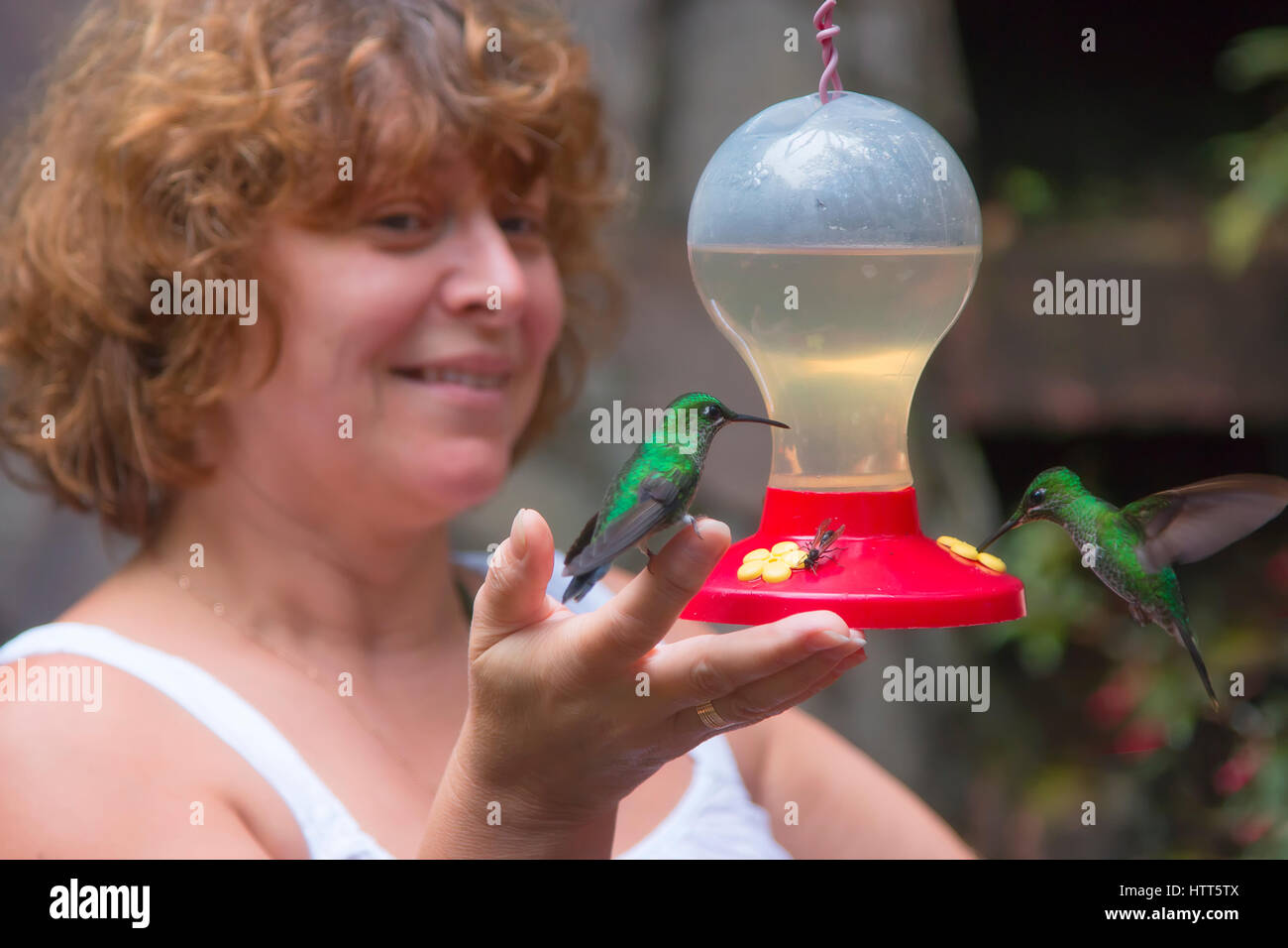 Woman playing with Hummingbirds Stock Photo - Alamy