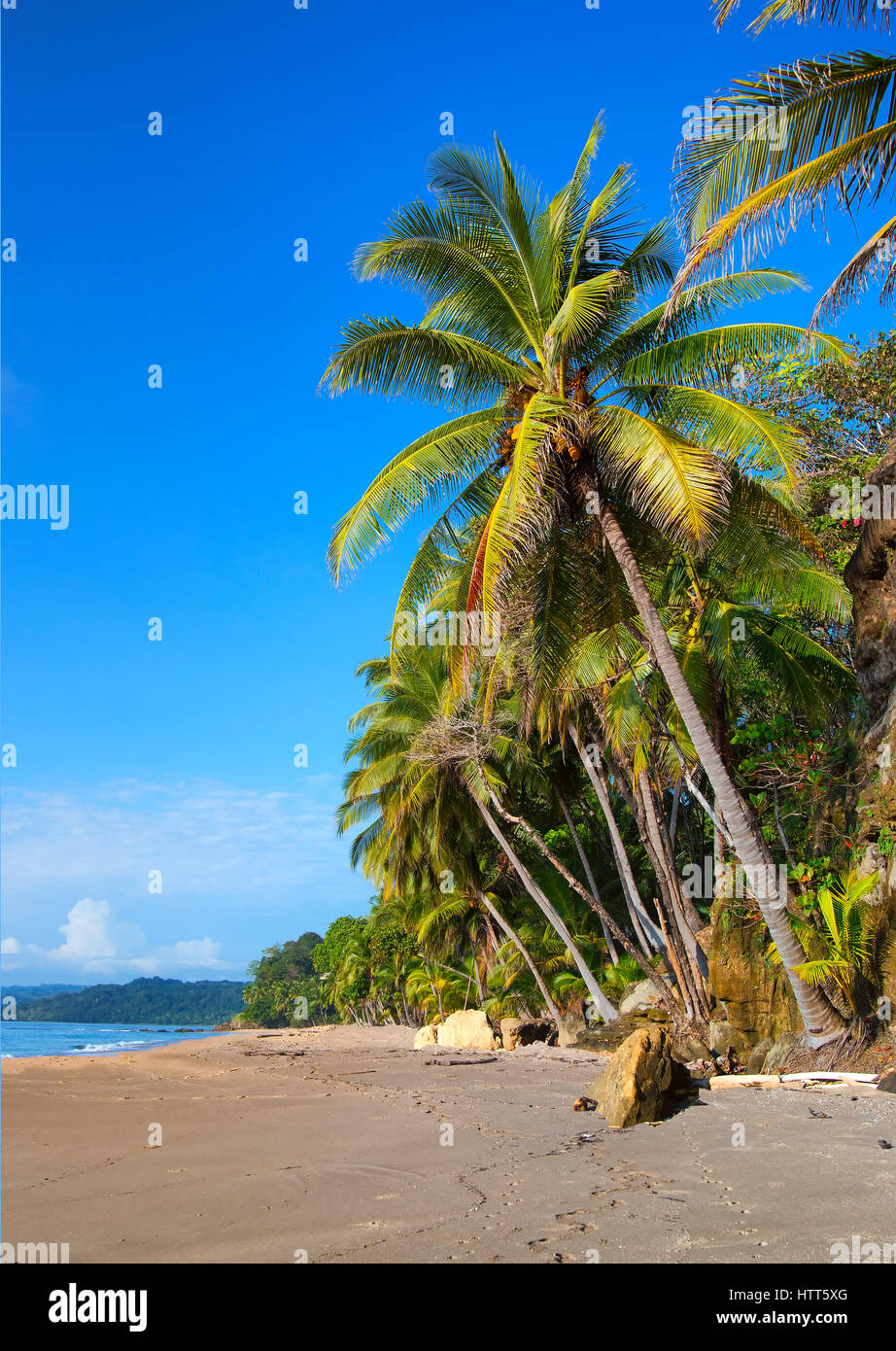 Samara beach in Nicoya Peninsula, Costa Rica Stock Photo - Alamy