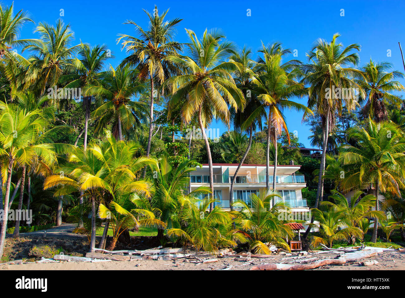Samara beach in Nicoya Peninsula, Costa Rica Stock Photo - Alamy
