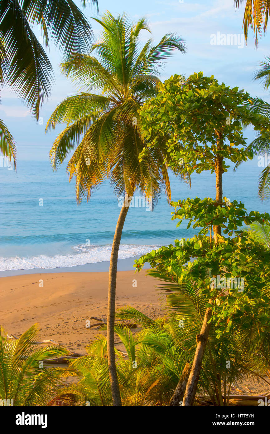 Carillo hi-res stock photography and images - Alamy