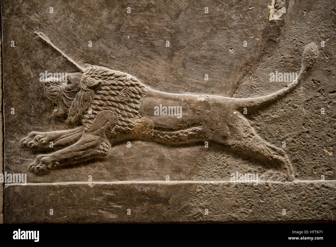 Assyrian relief sculpture panel of a lion being hunted. From Nineveh ...