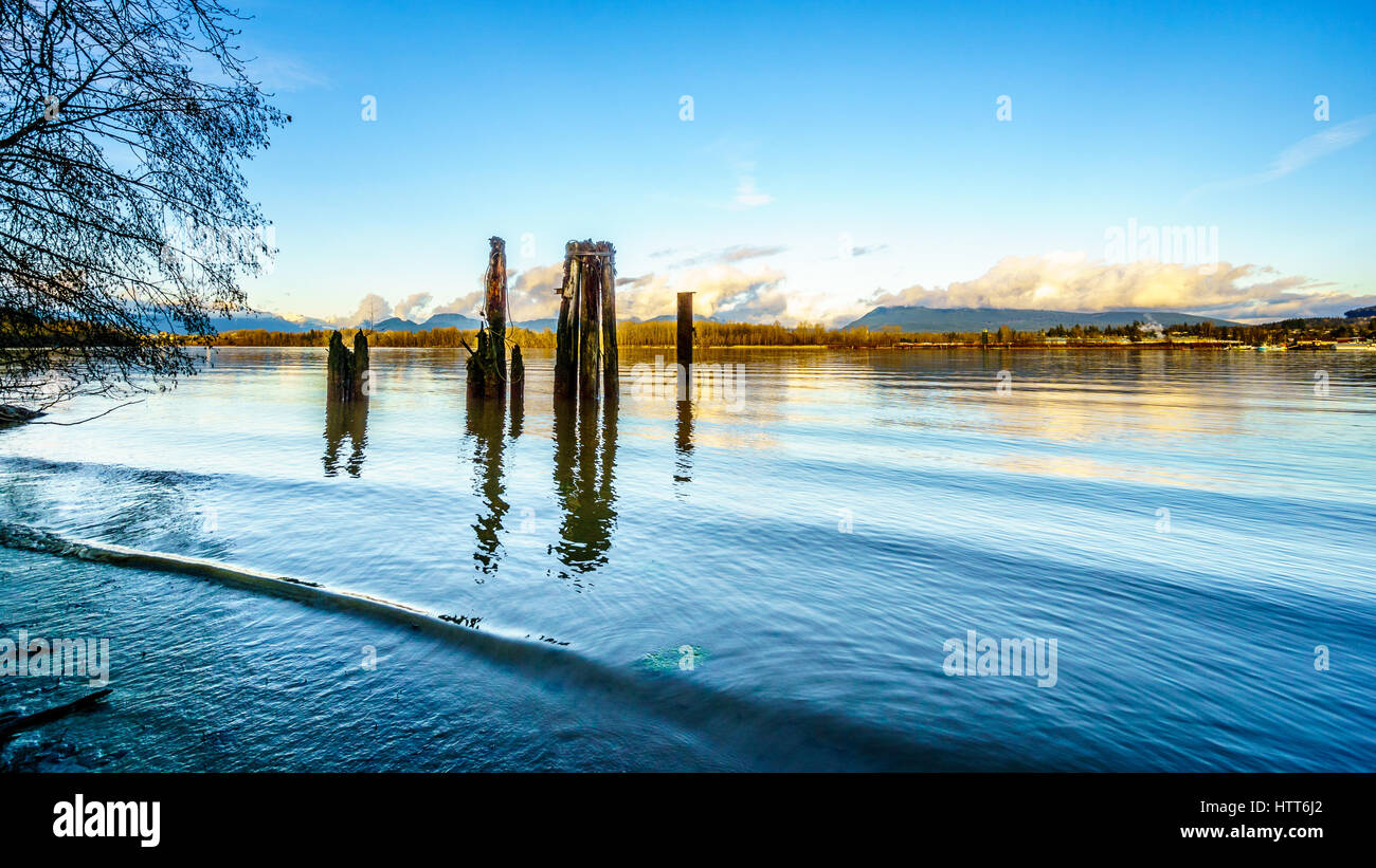 Brea fishing hi-res stock photography and images - Alamy