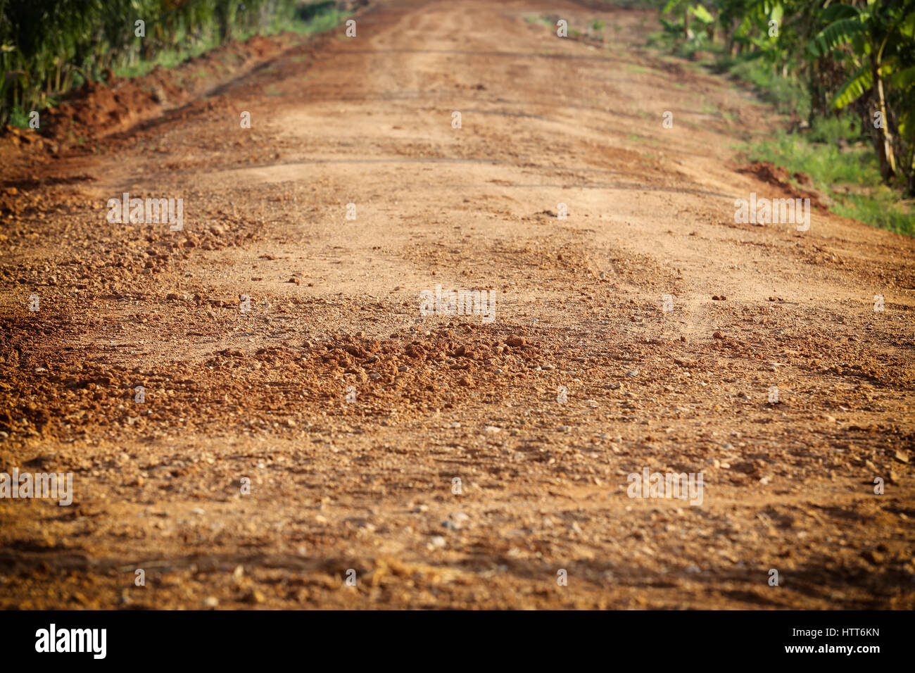 Ground path of a road in rural Thailand Stock Photo - Alamy