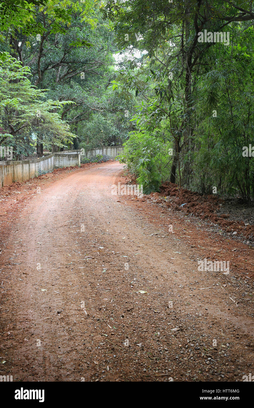 Ground path of a road in rural Thailand Stock Photo - Alamy