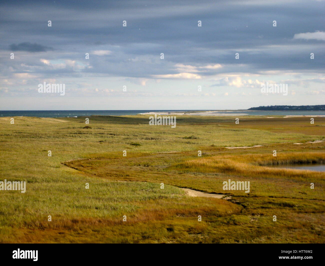 Marsh on Cape Cod Stock Photo - Alamy