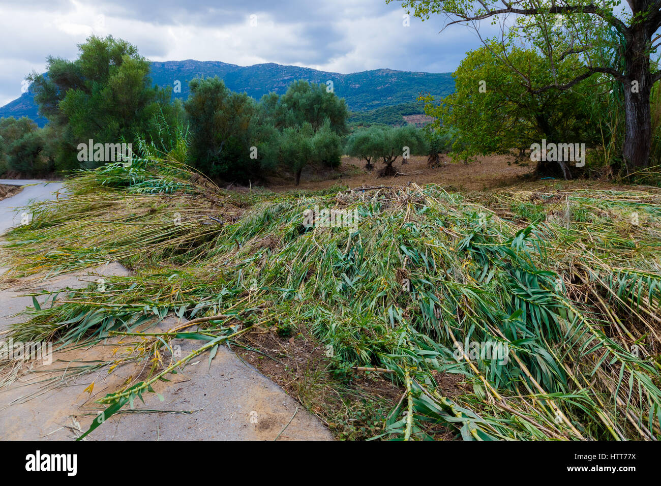 Natural disaster after floods hit countryside in early September 2016 ...