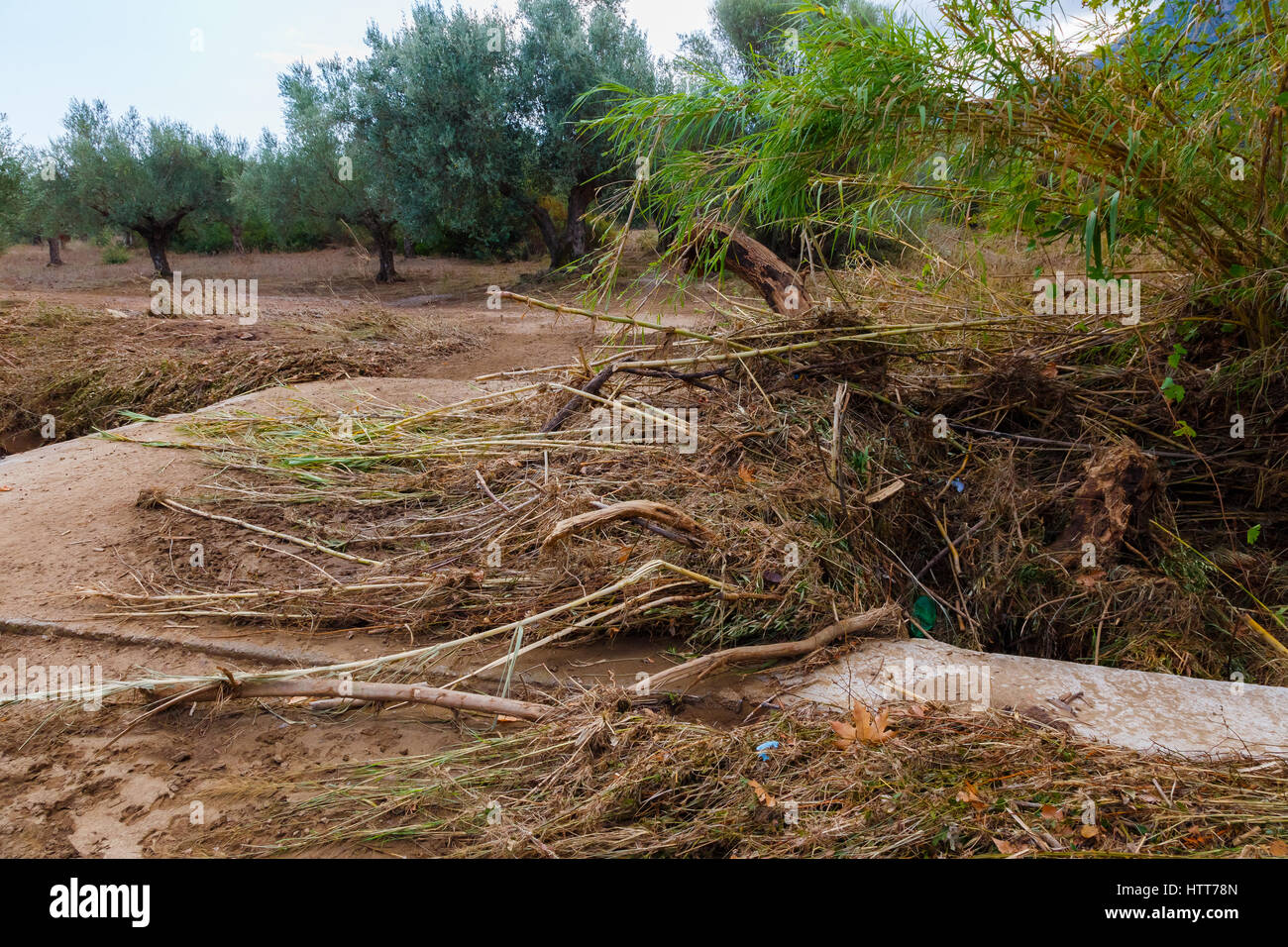 Natural disaster after floods hit countryside in early September 2016 ...
