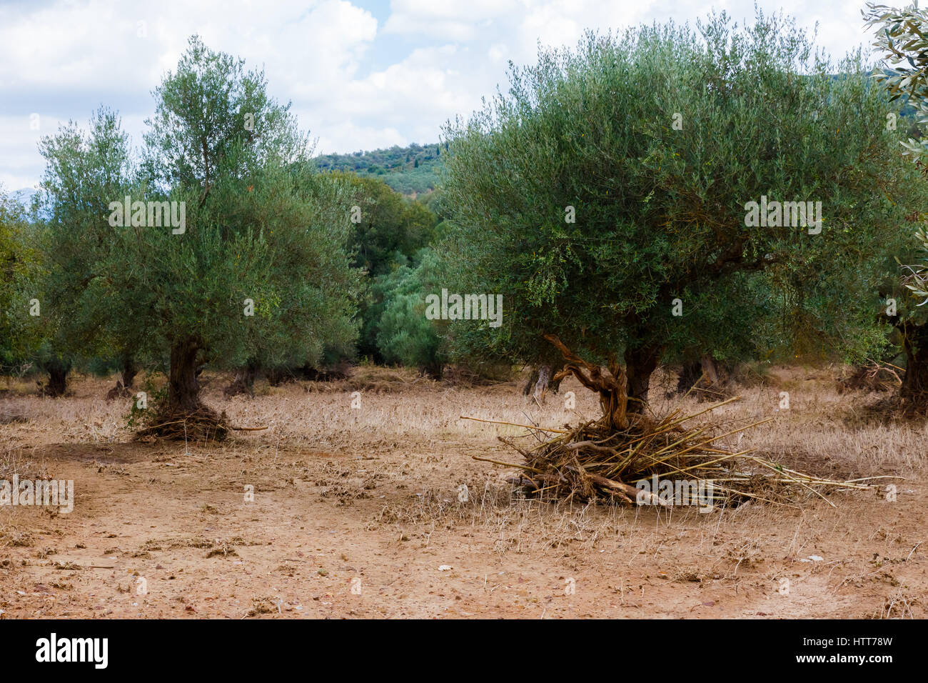 Natural disaster after floods hit countryside in early September 2016 ...