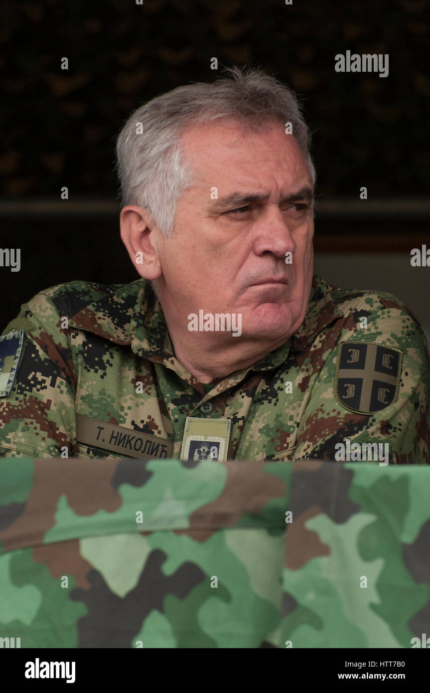 Toma nikolic hi-res stock photography and images - Alamy