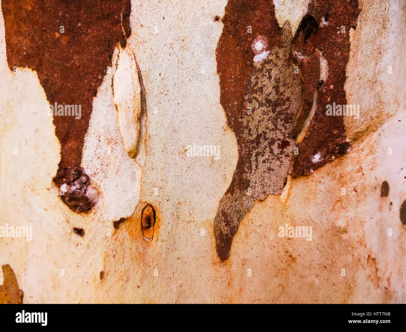 old tree bark texture background Stock Photo - Alamy
