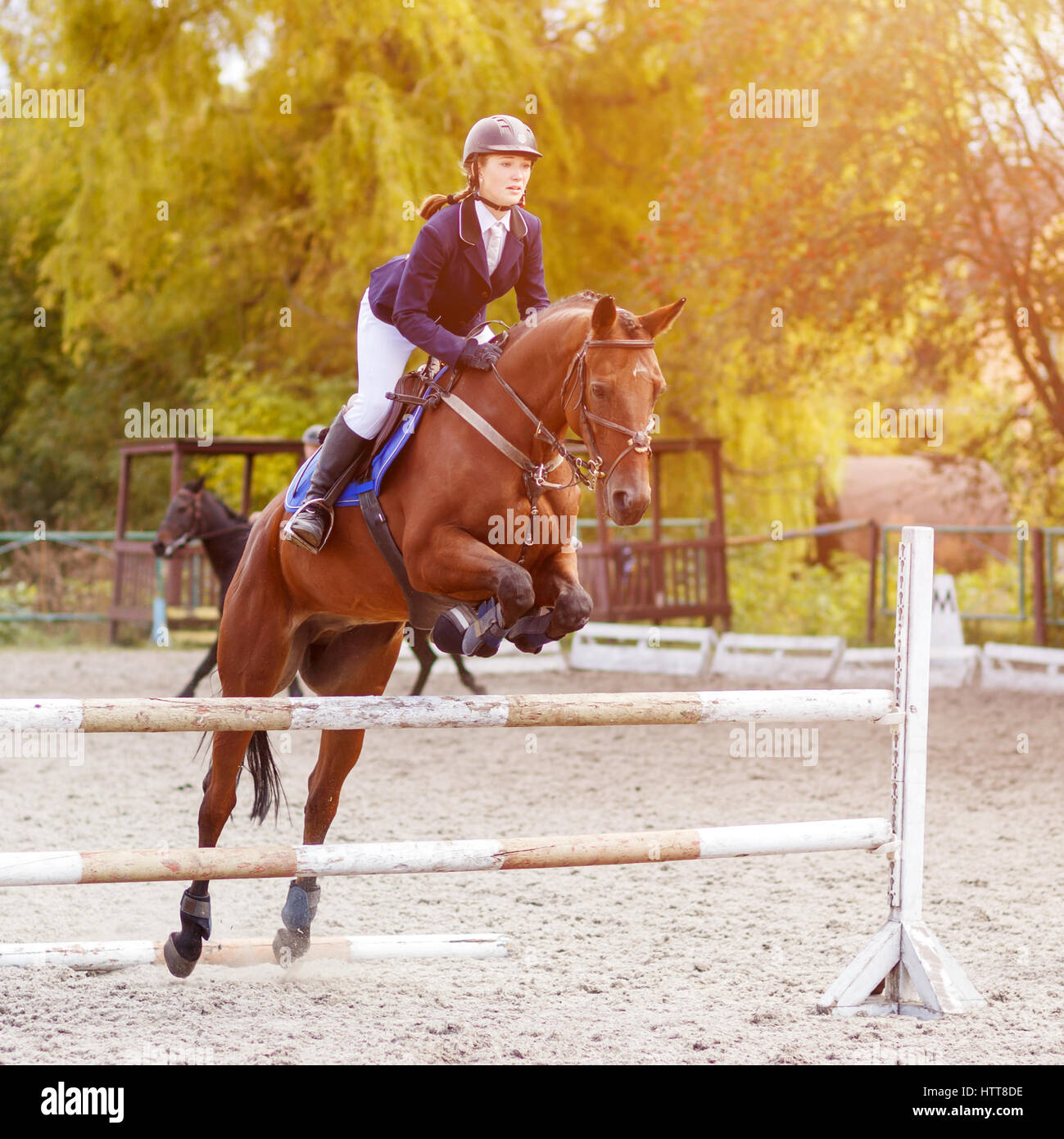 Young horseback sportswoman jumping over obstacles on show jumping ...