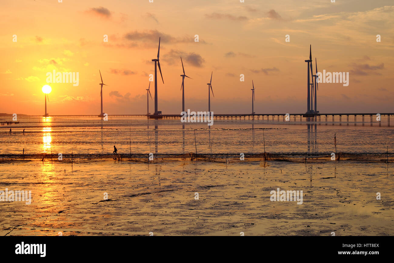 Group wind turbines of Bac Lieu wind power plant at Mekong Delta ...