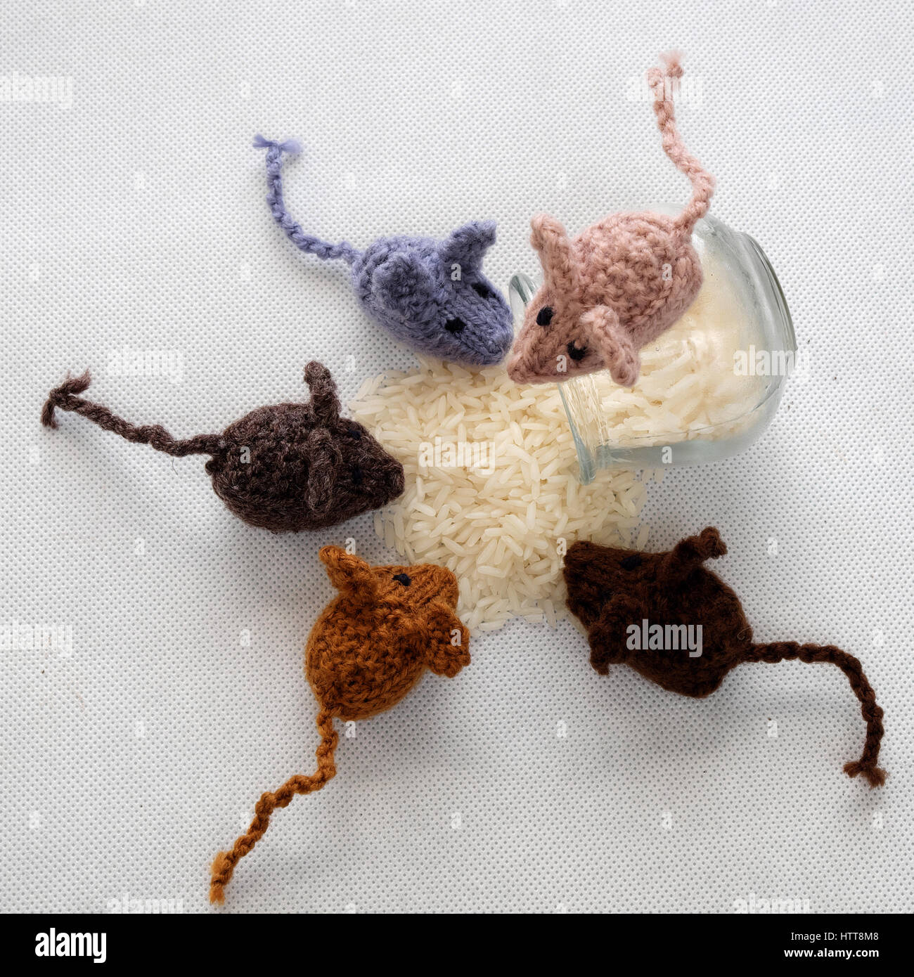 Rat eating rice hi-res stock photography and images - Alamy