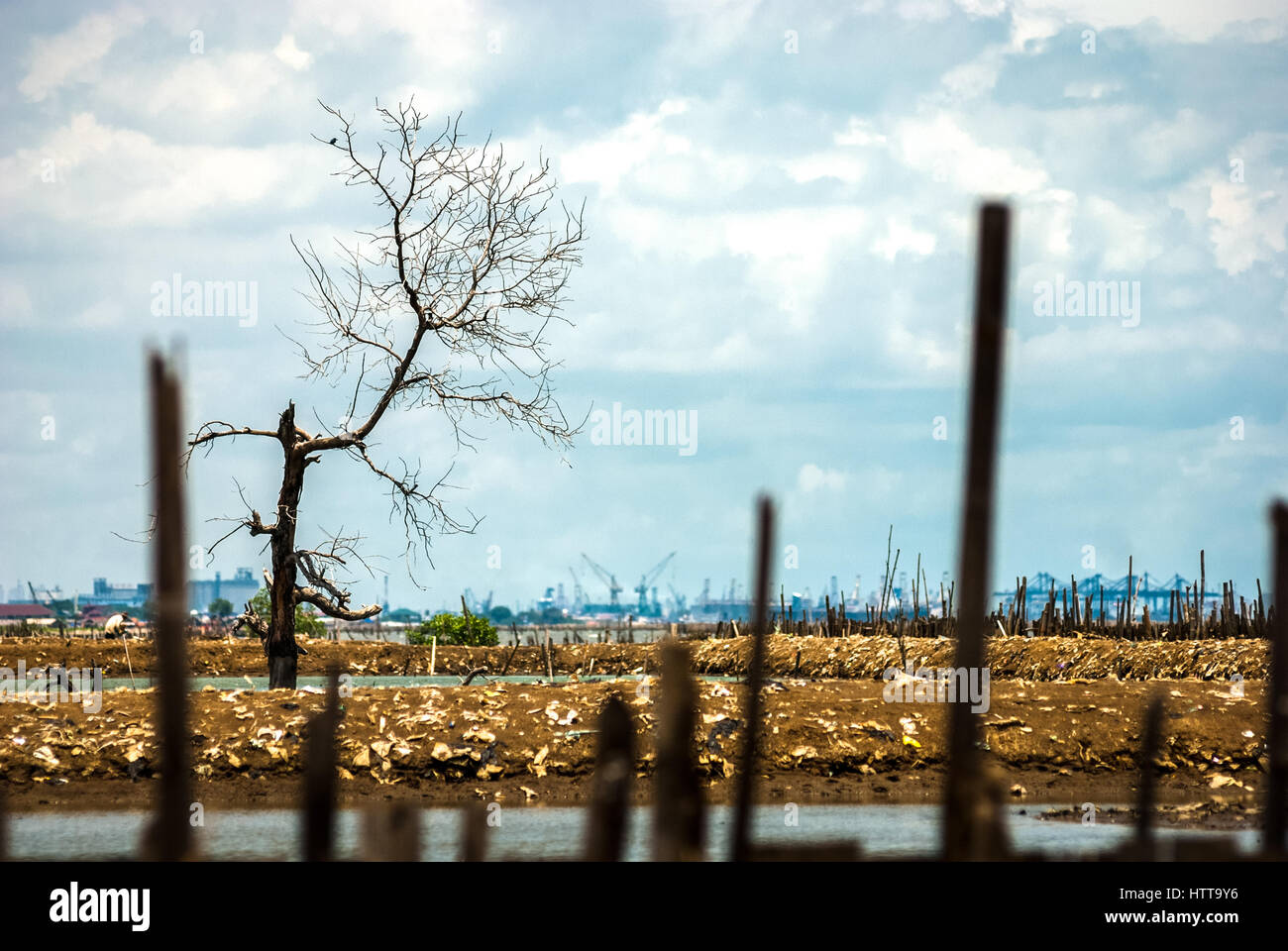 Land reclamation project jakarta hi-res stock photography and images ...