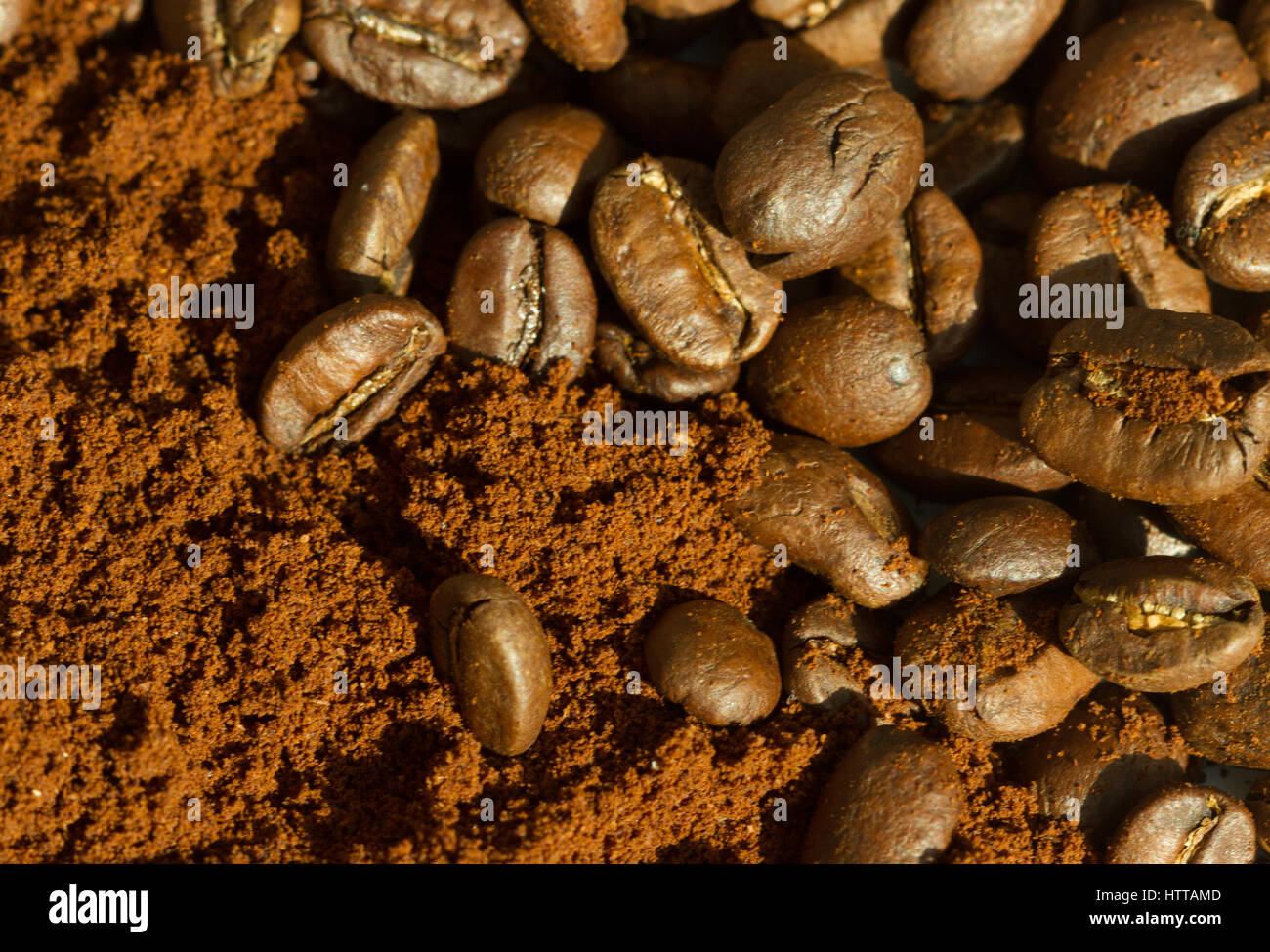 Coffee beans and ground coffee, horizontal view bakground, extreme ...