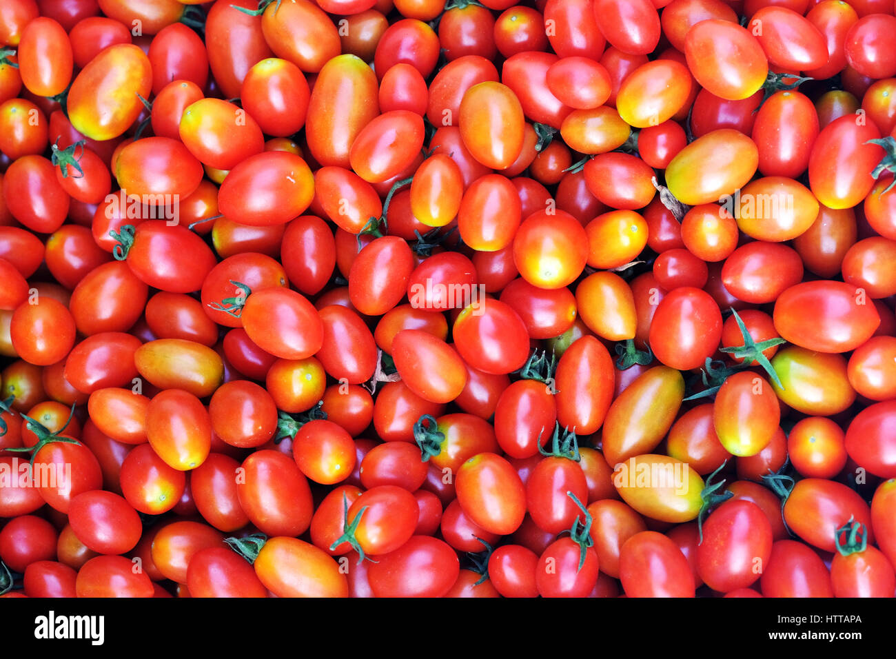 red tomato background Stock Photo - Alamy