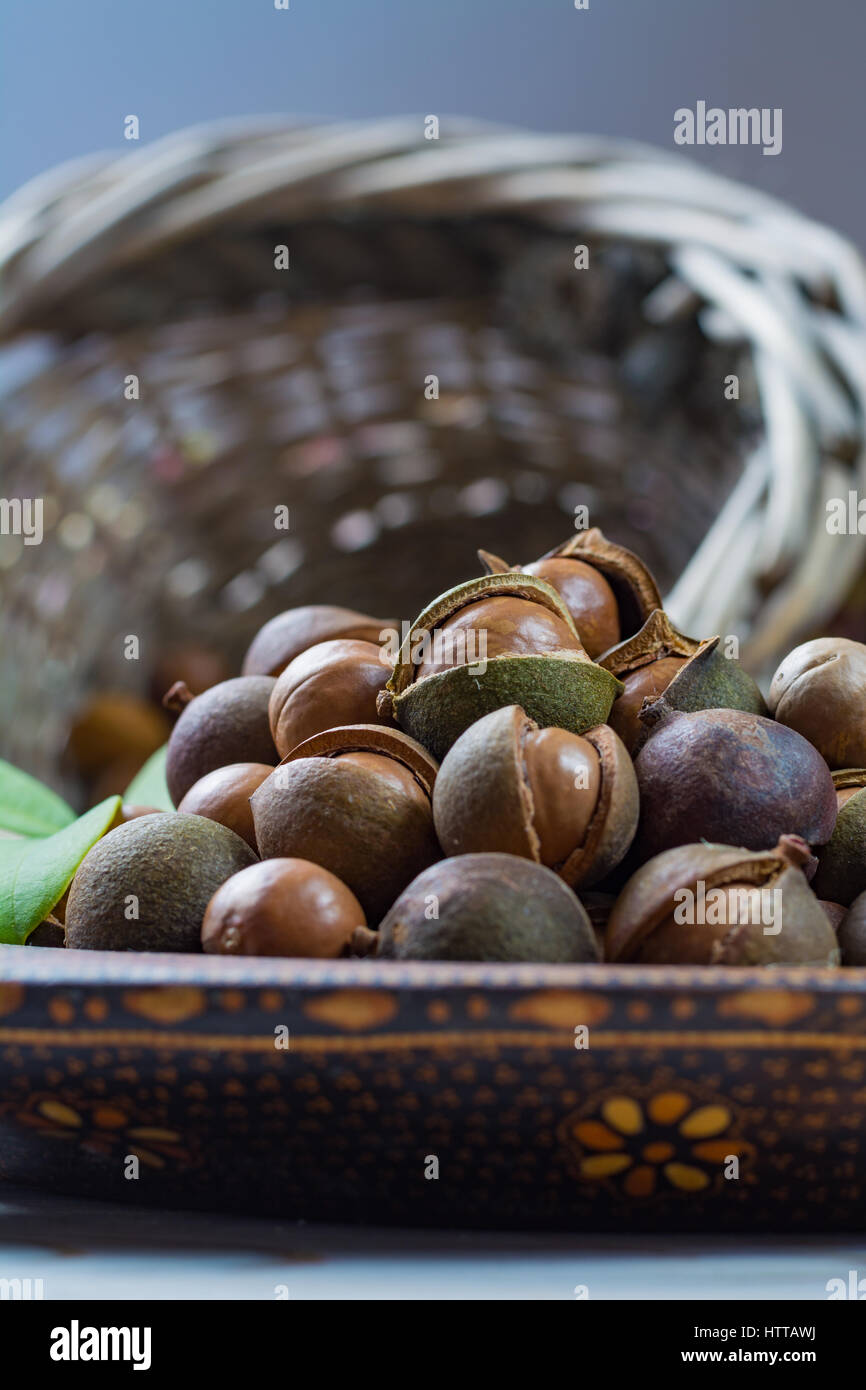 Macadamia plantation hawaii hi-res stock photography and images - Alamy
