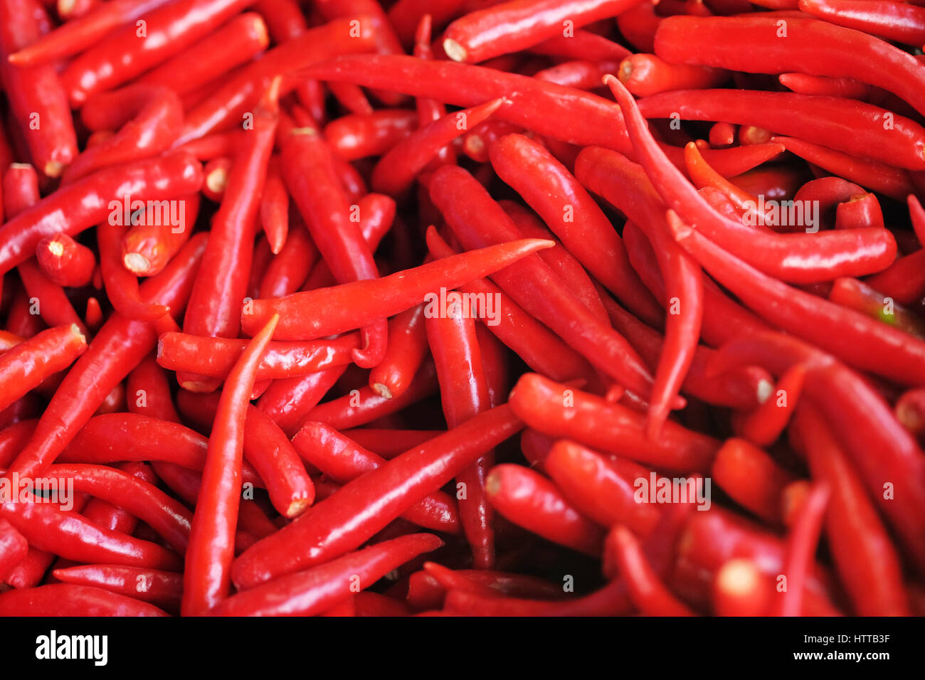 red chili background Stock Photo - Alamy