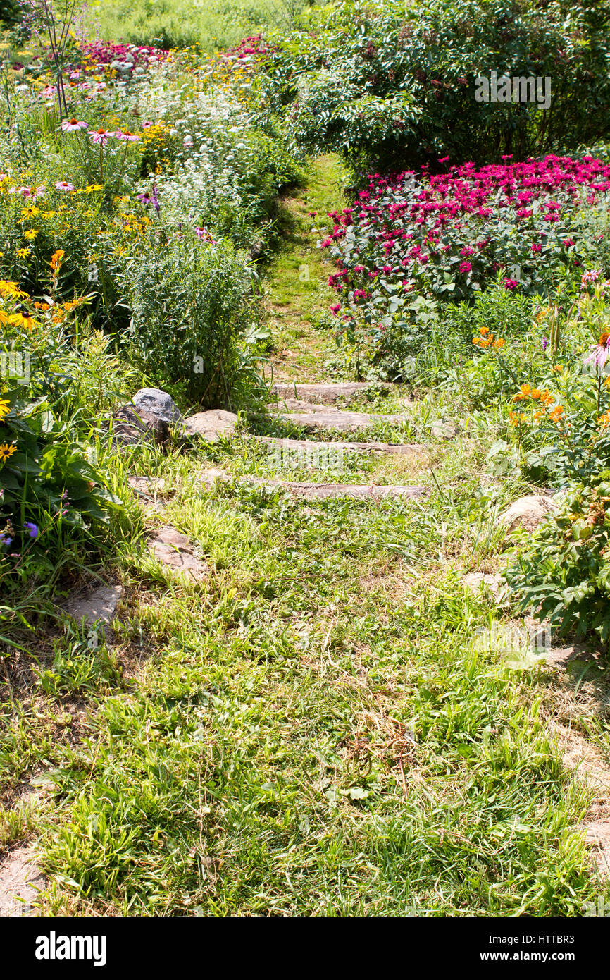 Path through flower garden Stock Photo - Alamy