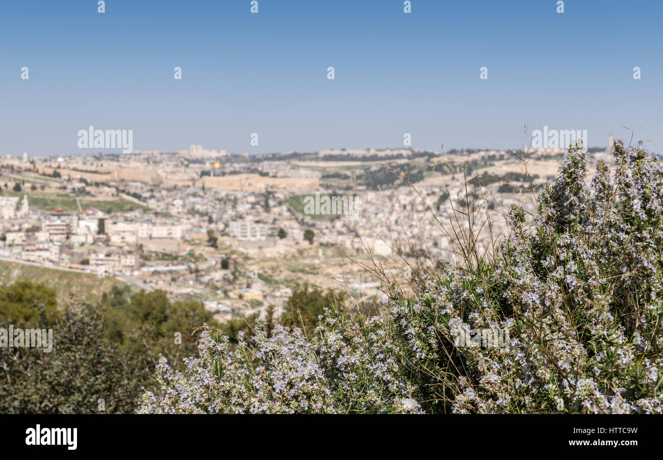 A view of Jerusalem from the "Armon Hanatziv" (High Commisioners ...